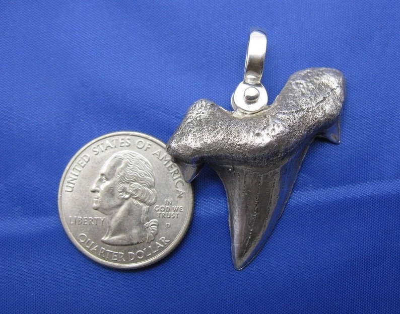 Large Solid .925 Sterling Silver Curved Spiked Shark Tooth - Etsy