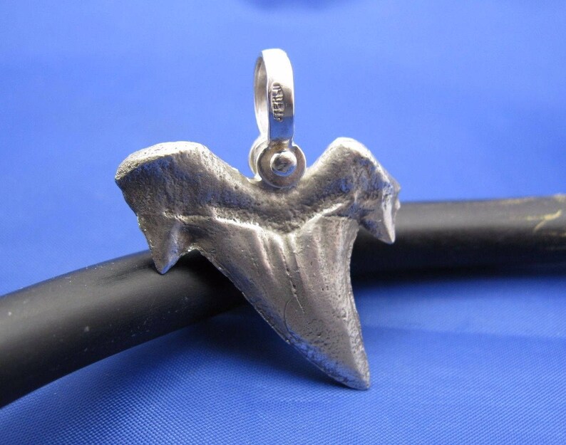 Large Solid .925 Sterling Silver Curved Spiked Shark Tooth - Etsy