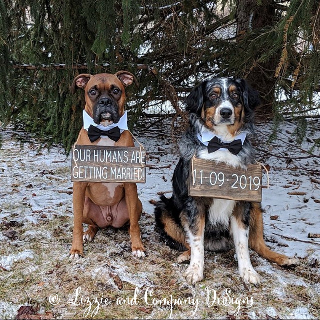 Our Humans Are Getting Married, Pet Save the Date Sign, Dog Photo Prop ...