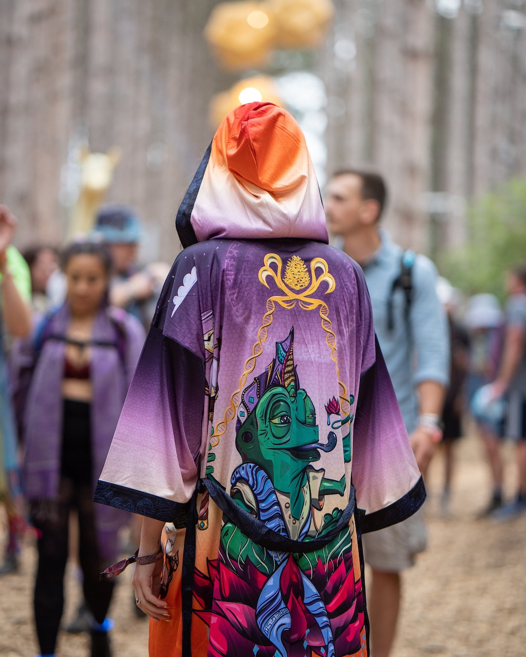 Completely Bonkers Pineal Frog Hooded Robe LE 100 - Etsy