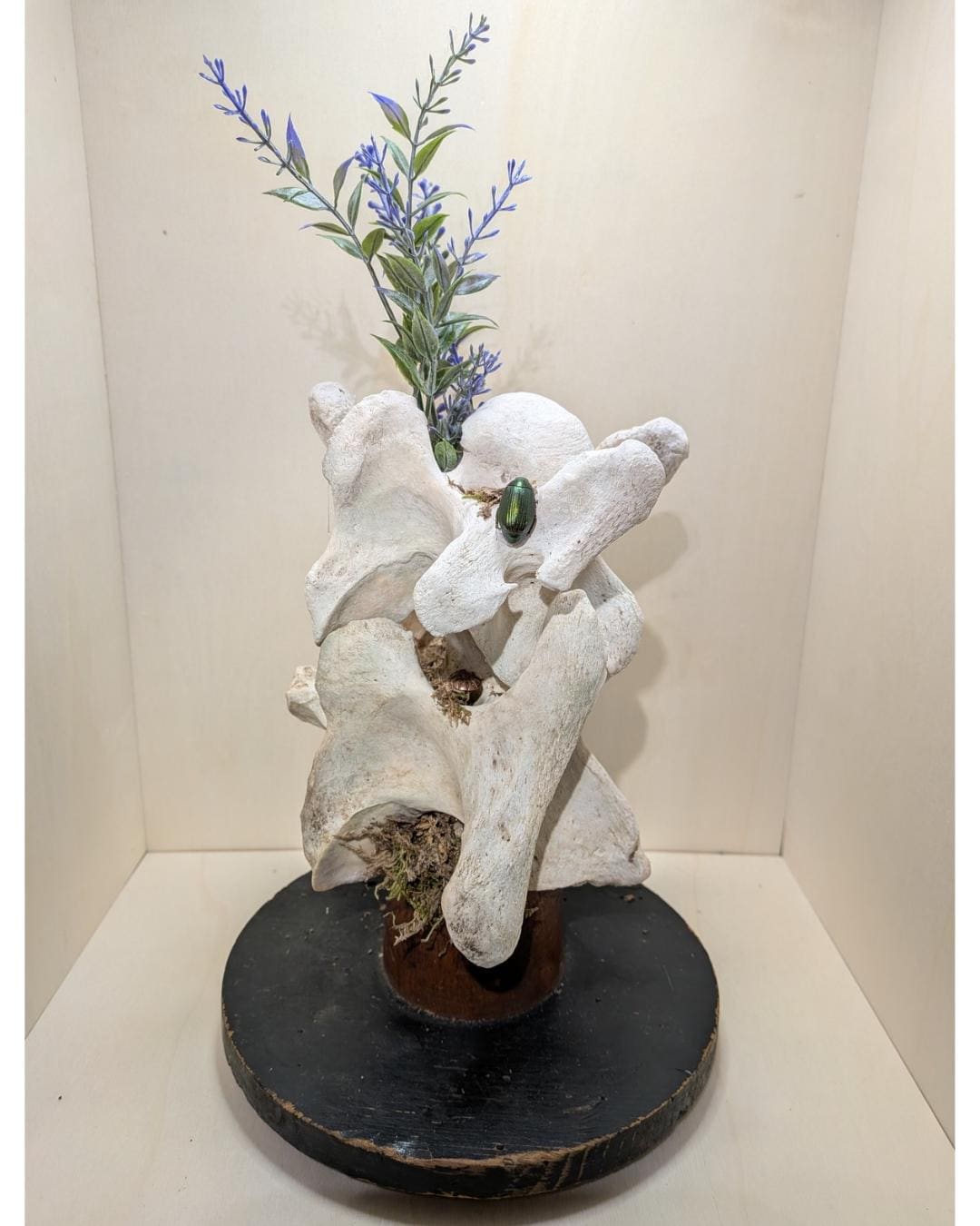 Floral Stand, Cow Vertebrae - Etsy