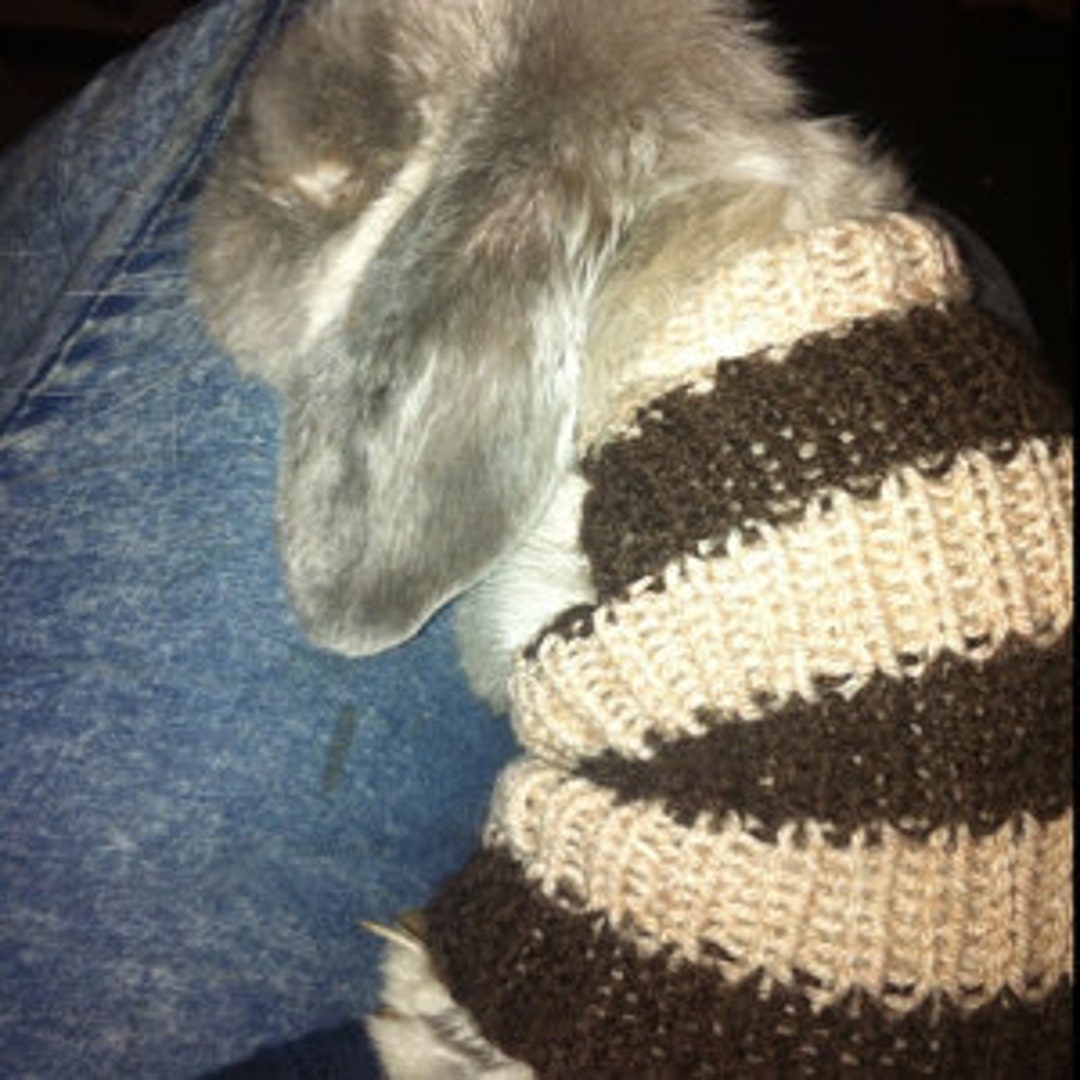 Rabbit Sweater, Pet Rabbit Clothes, Pet Bunny Beige and Brown Costume ...
