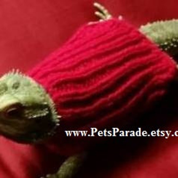 Bearded Dragon Sweater - Etsy