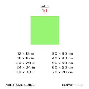 Bundle of 12 PNG Styled Scenes Empty Opening 1x1 Square - Etsy