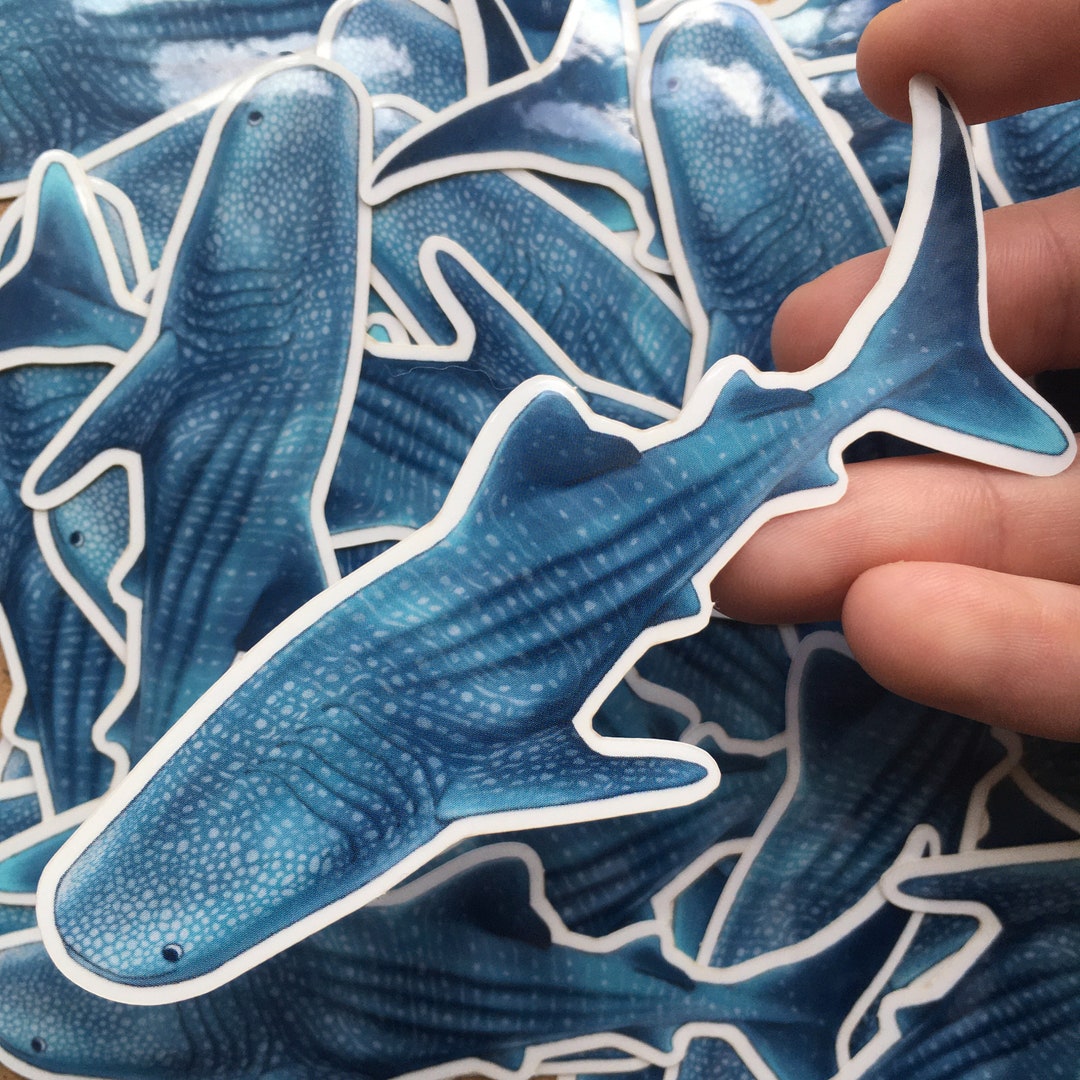 Happy Whale Shark Sticker transparent - Etsy