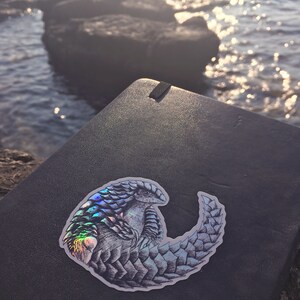 3x Sticker Pack Pangolins Holographic | Etsy