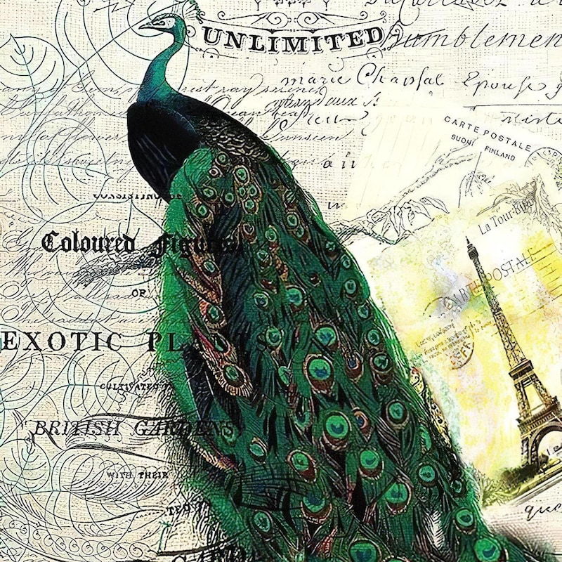 Paper Peacock - Etsy