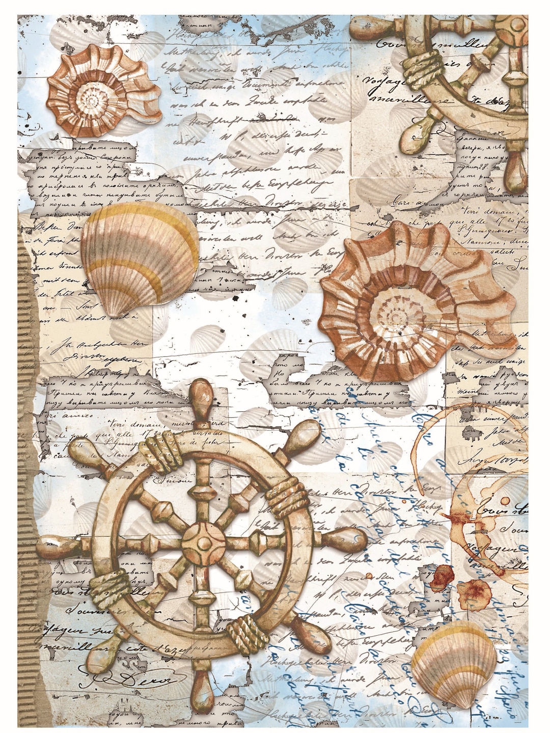 Sea Shell - Decorative Paper - Decoupage Art - Large Size Rice Paper ...