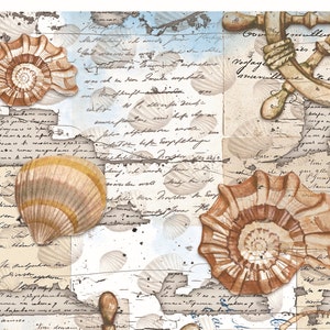 Sea Shell - Decorative Paper - Decoupage Art - Large Size Rice Paper ...