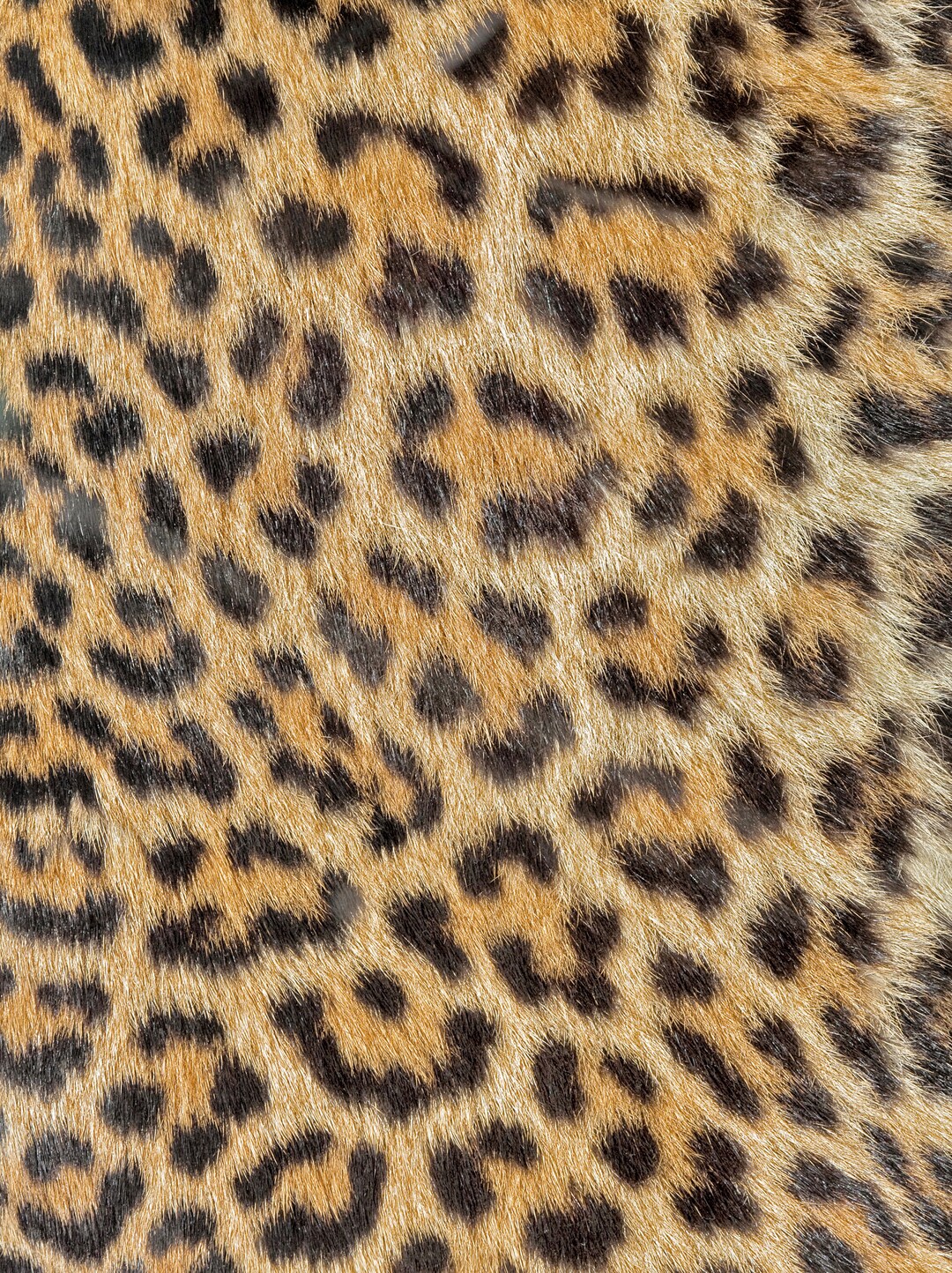 Leopard Decoupage Paper - Decoupage Art - Large Size Rice Paper for ...