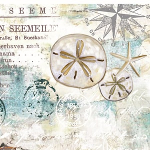 Sea Life - Decorative Paper - Decoupage Art - Large Size Rice Paper for ...