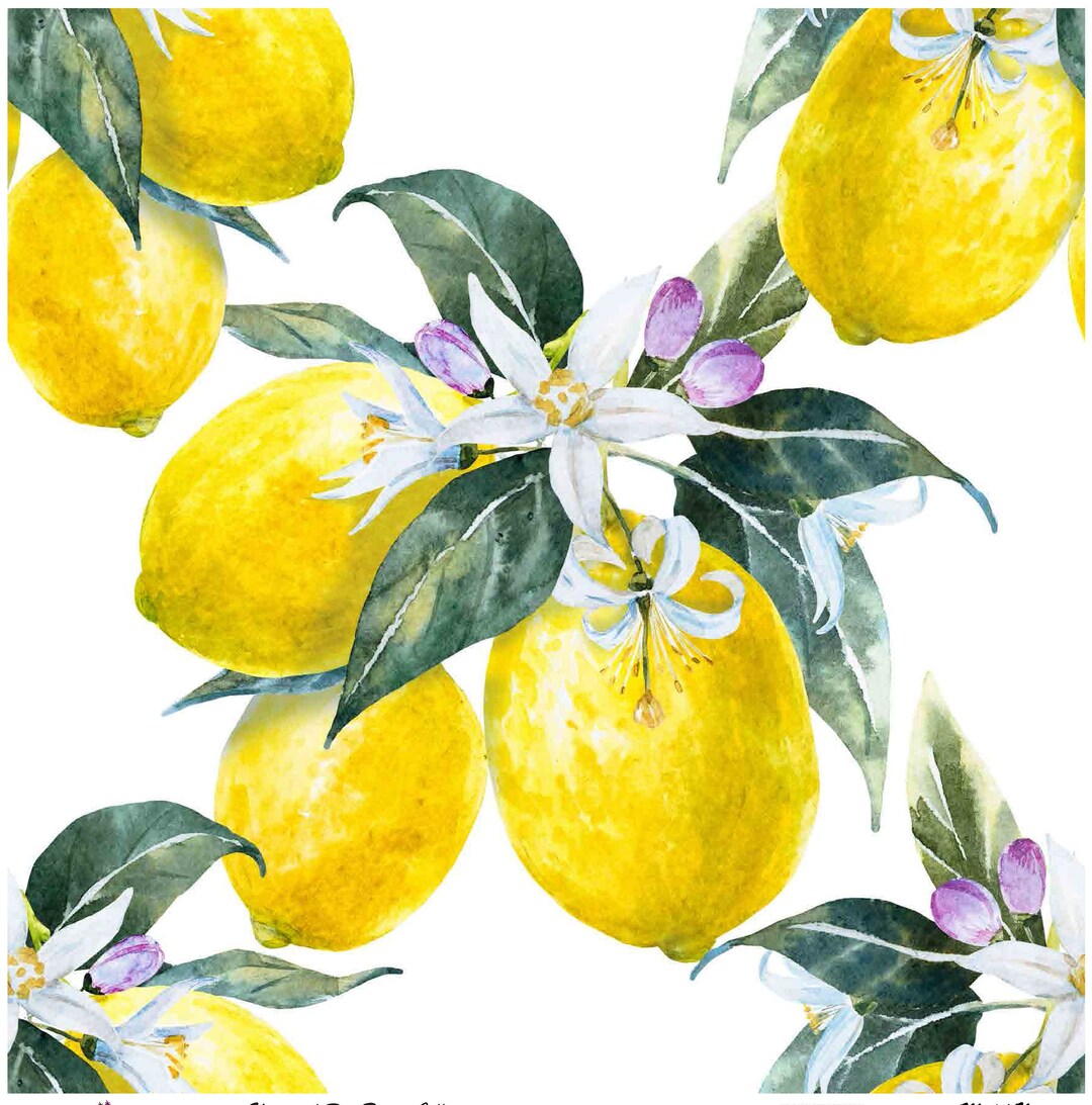 Decoupage Paper for Furniture - Rice Paper Decoupage - Large Decoupage ...