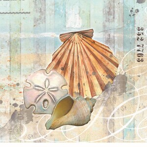Sea Shell - Decorative Paper - Decoupage Art - Large Size Rice Paper ...