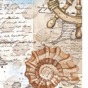 Sea Shell - Decorative Paper - Decoupage Art - Large Size Rice Paper ...