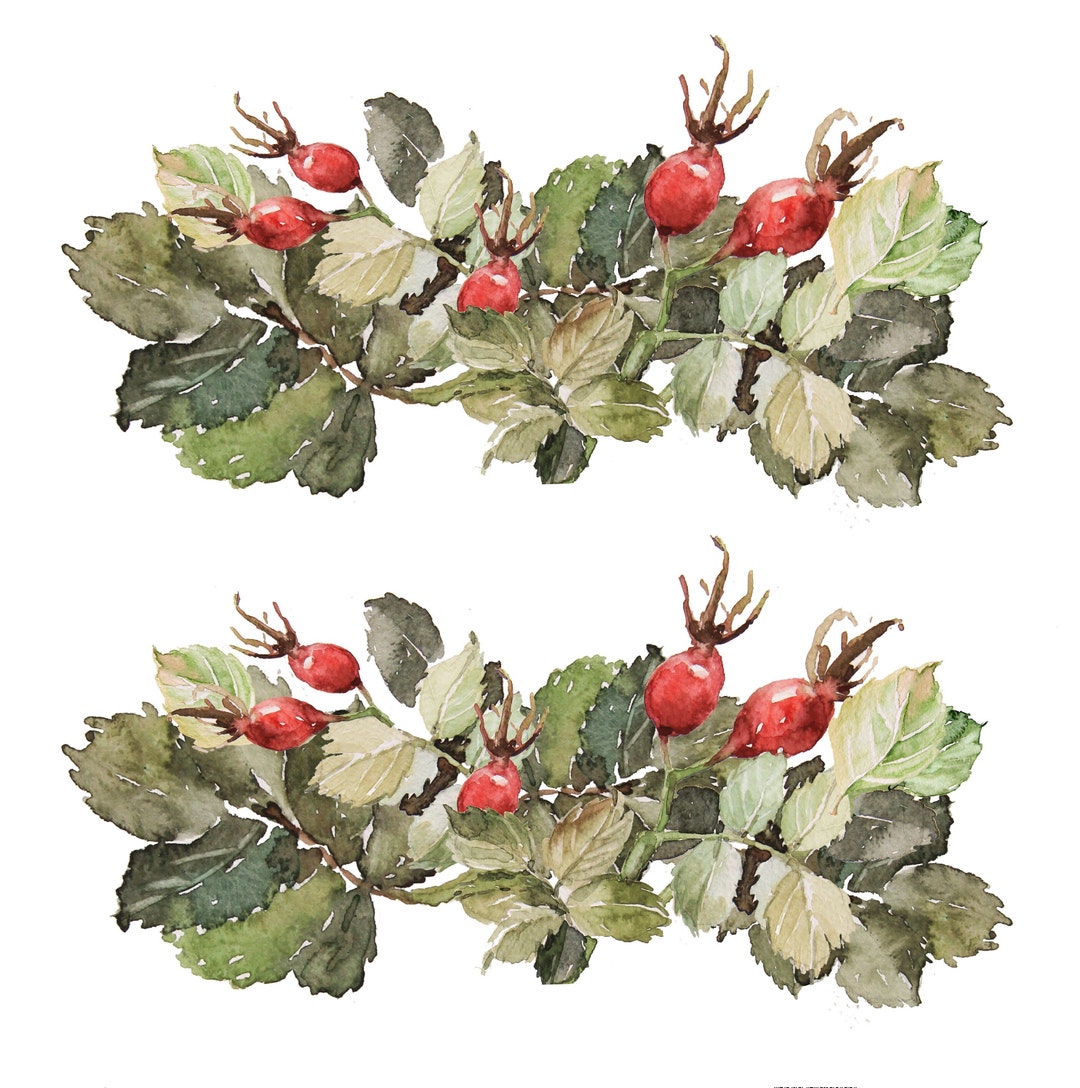 Decoupage Paper for Furniture - Rice Paper Decoupage - Large Decoupage ...