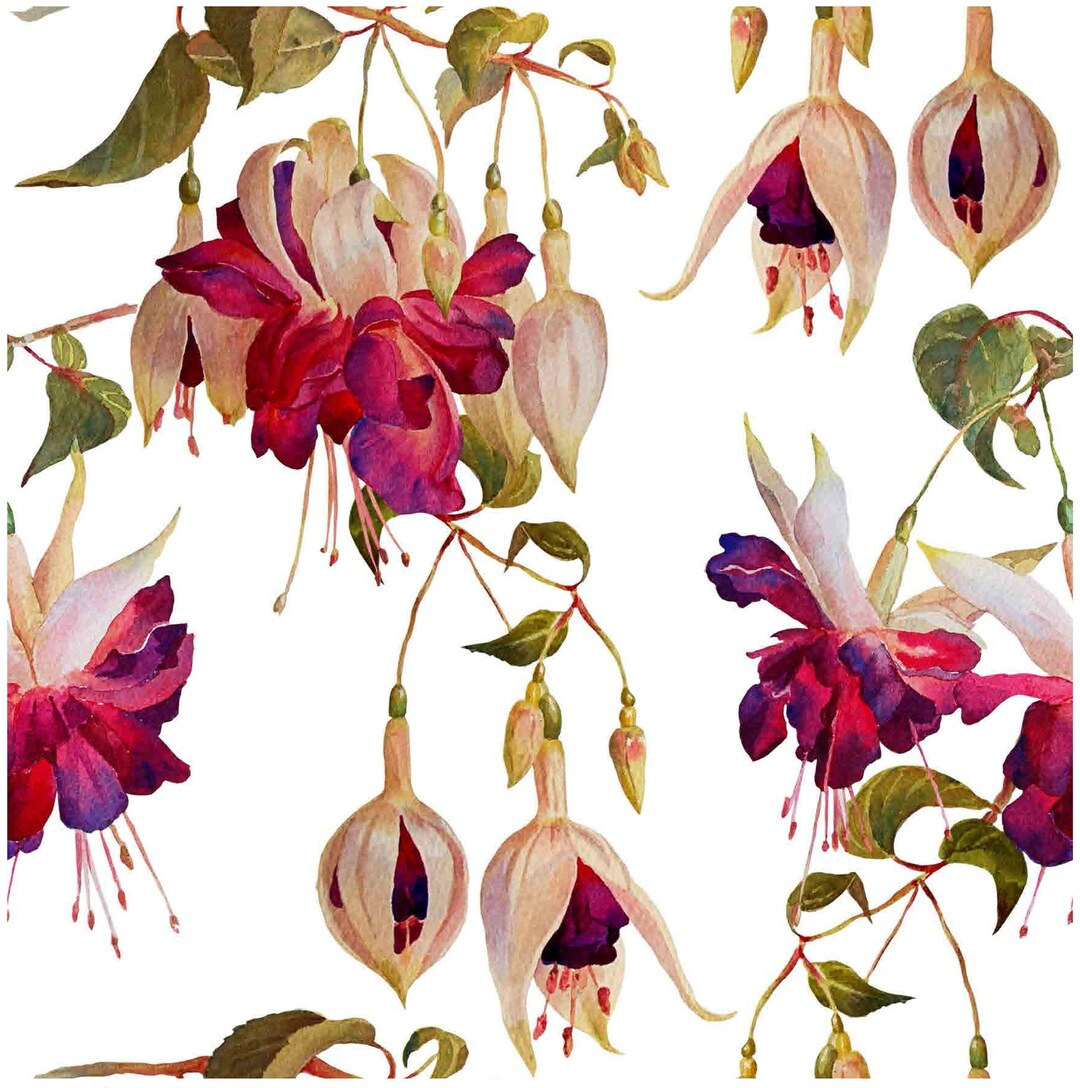 Fuchsia Hybrida - Flowers - Floral Decoupage - Large Decoupage Paper ...