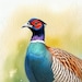 Large Decoupage Paper for Furniture - Pheasant - Rice Paper - Decoupage ...