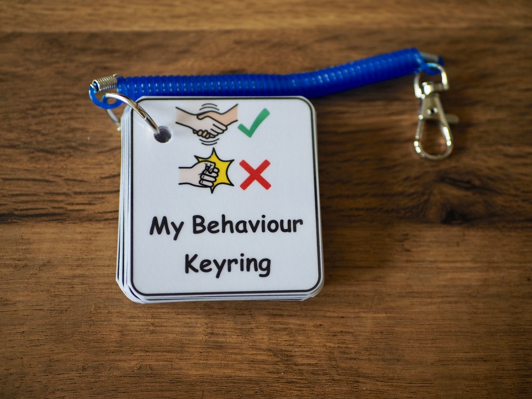 My Behaviour Keyring Keychain Visual Support Visual Aid for Asd/adhd ...