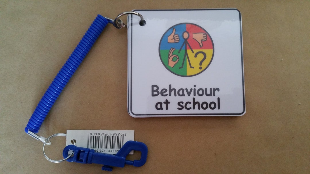 Behaviour at School Keyring Visual Support Visual Aid for Asd/adhd/add ...