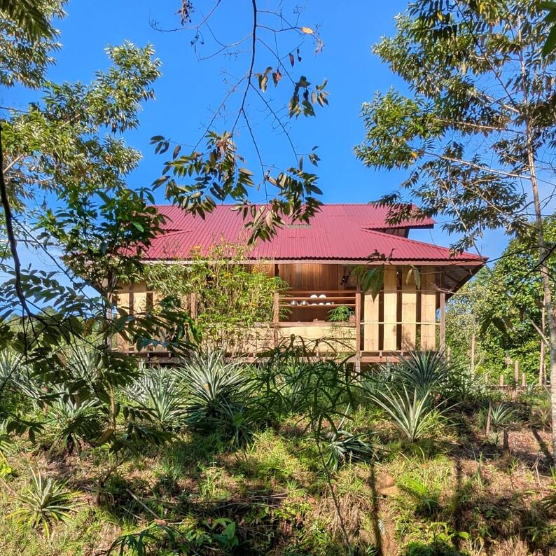 2D Tropical Timber Frame House Plans: Modular Villa 2D Drawing Pack ...