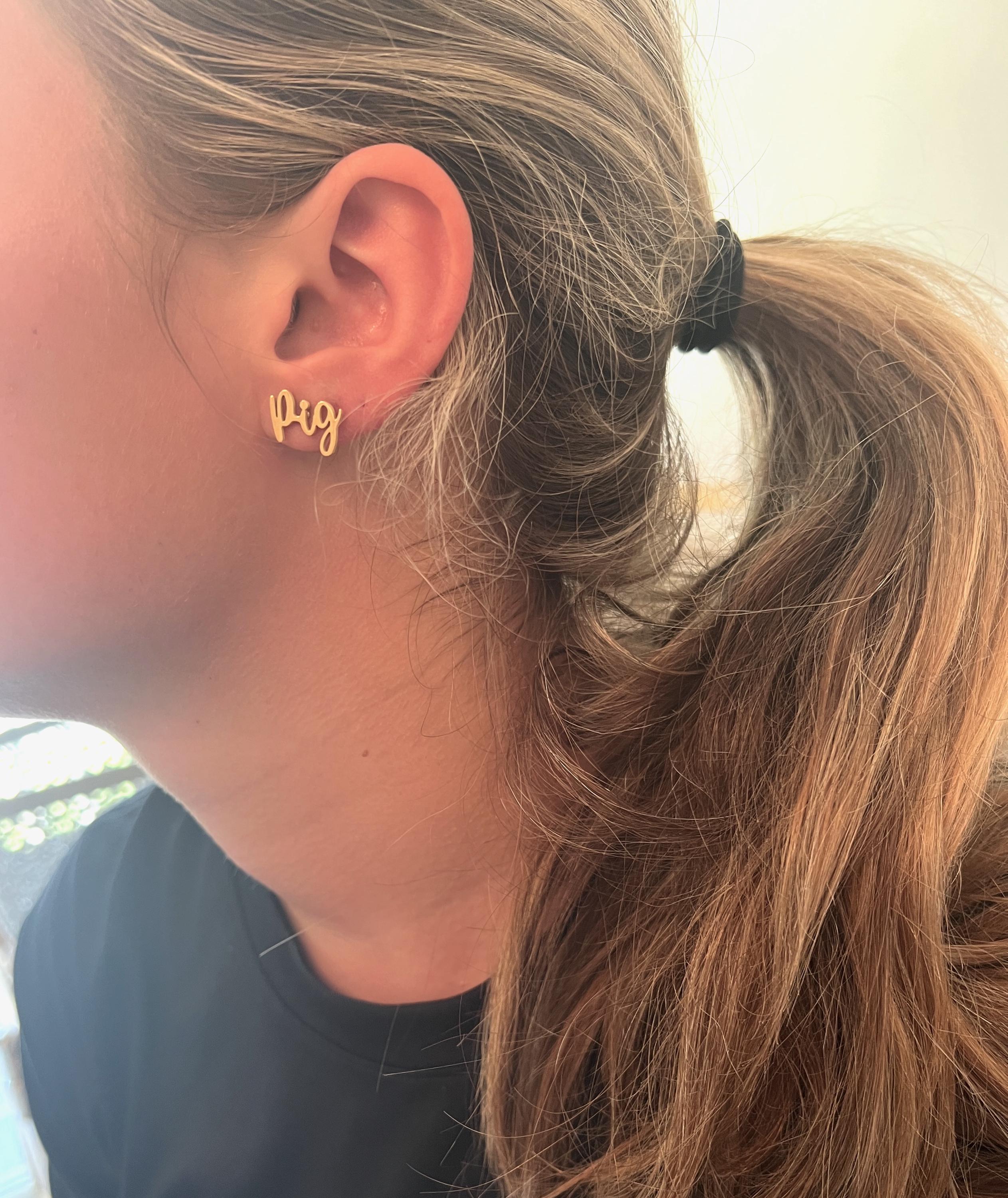 WOOO Pig! Wooo Pig Earrings Cute Arkansas Game Day Gold Stud Earrings ...