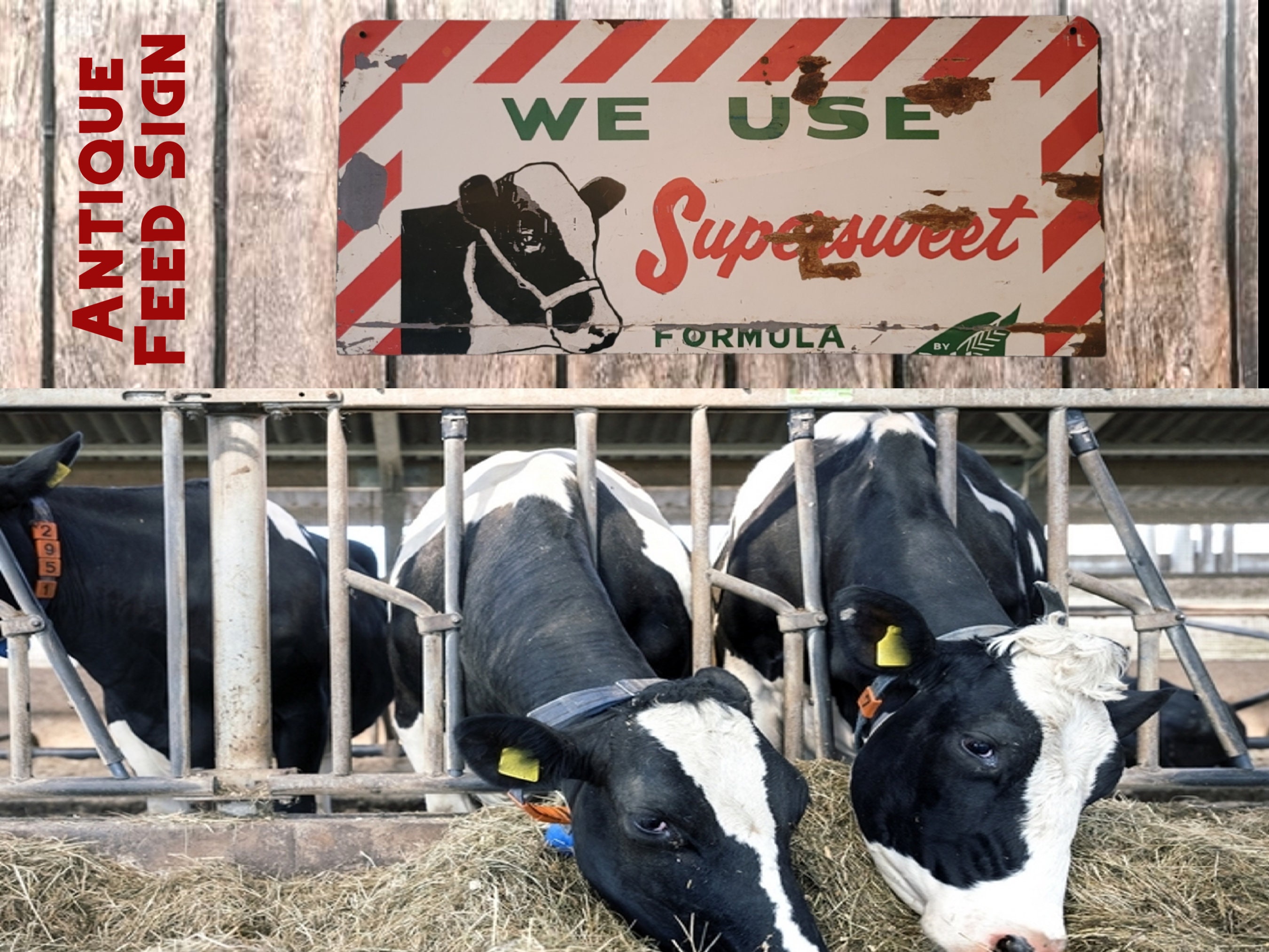 Antique Farm Sign Supersweet Feeds Great Chippy Look - Etsy