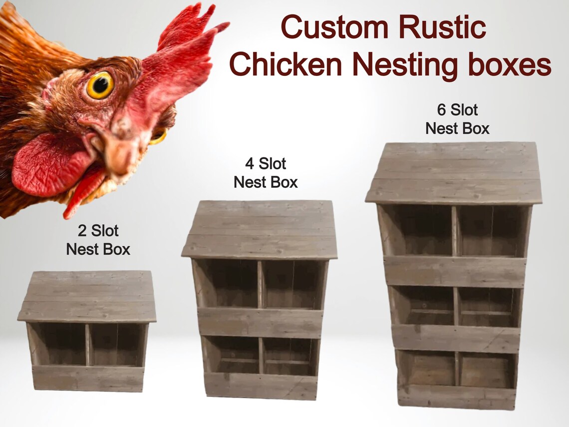 Chicken Coop Nesting Boxes Egg Collection Nesting Supplies - Etsy