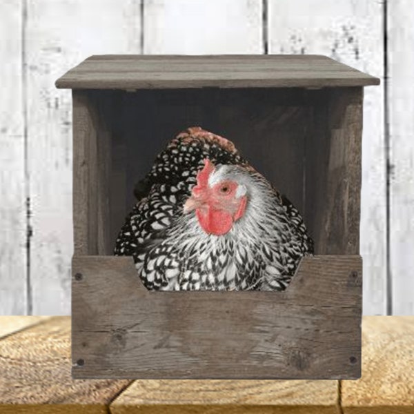 Nest Box - Etsy