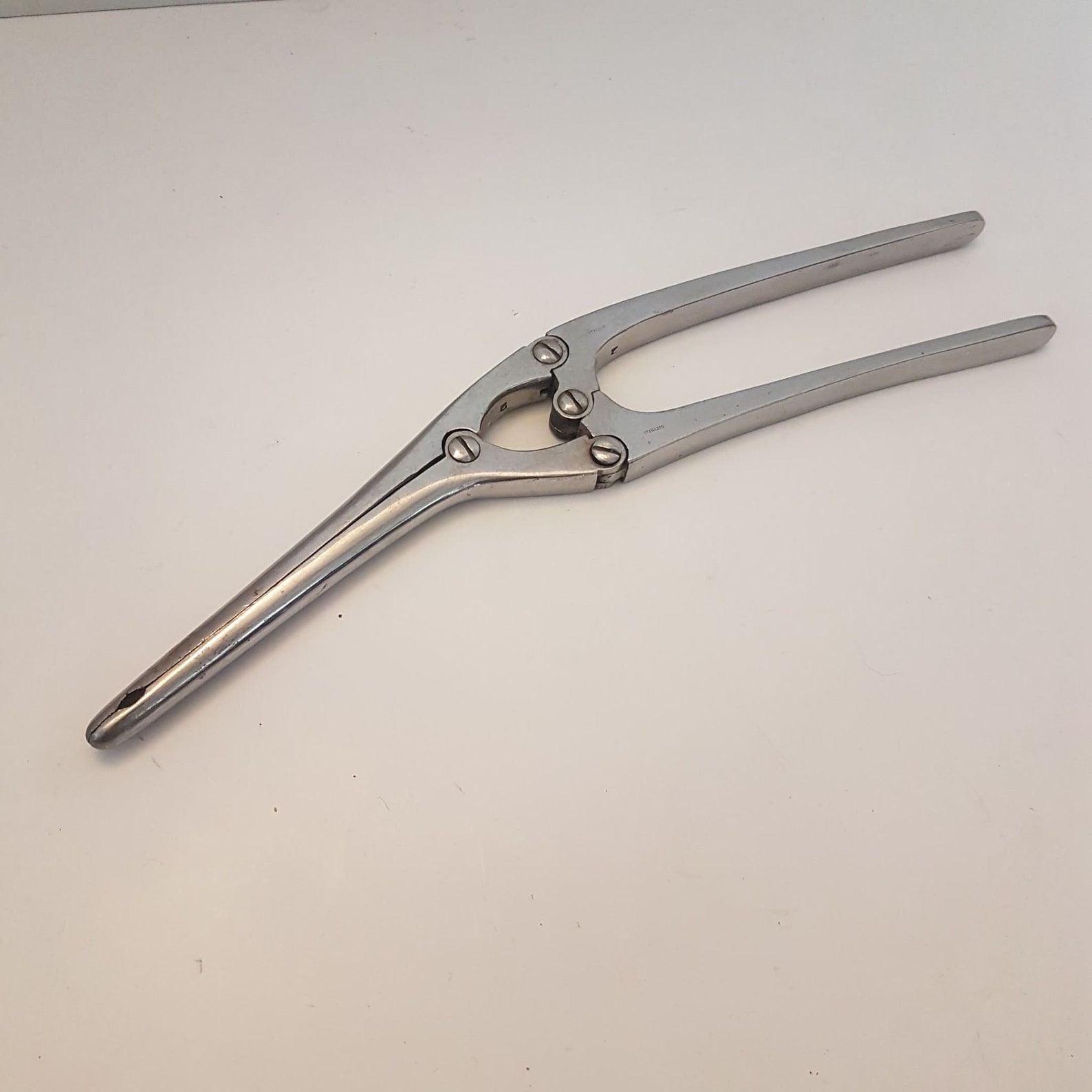 Stainless Steel Surgical Pliers Hospitaline Intestinal / | Etsy