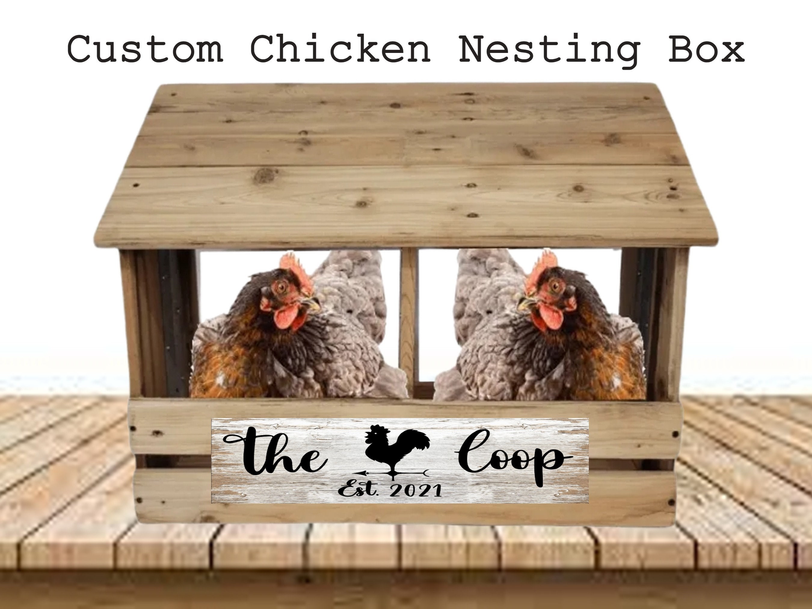 Chicken Coop Nesting Boxes