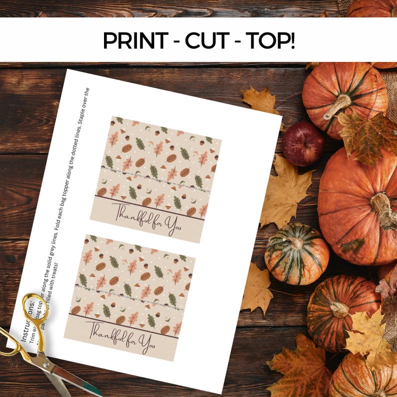 Printable DIY Thanksgiving Treat Bag Toppers Cookie Toppers & Treats ...