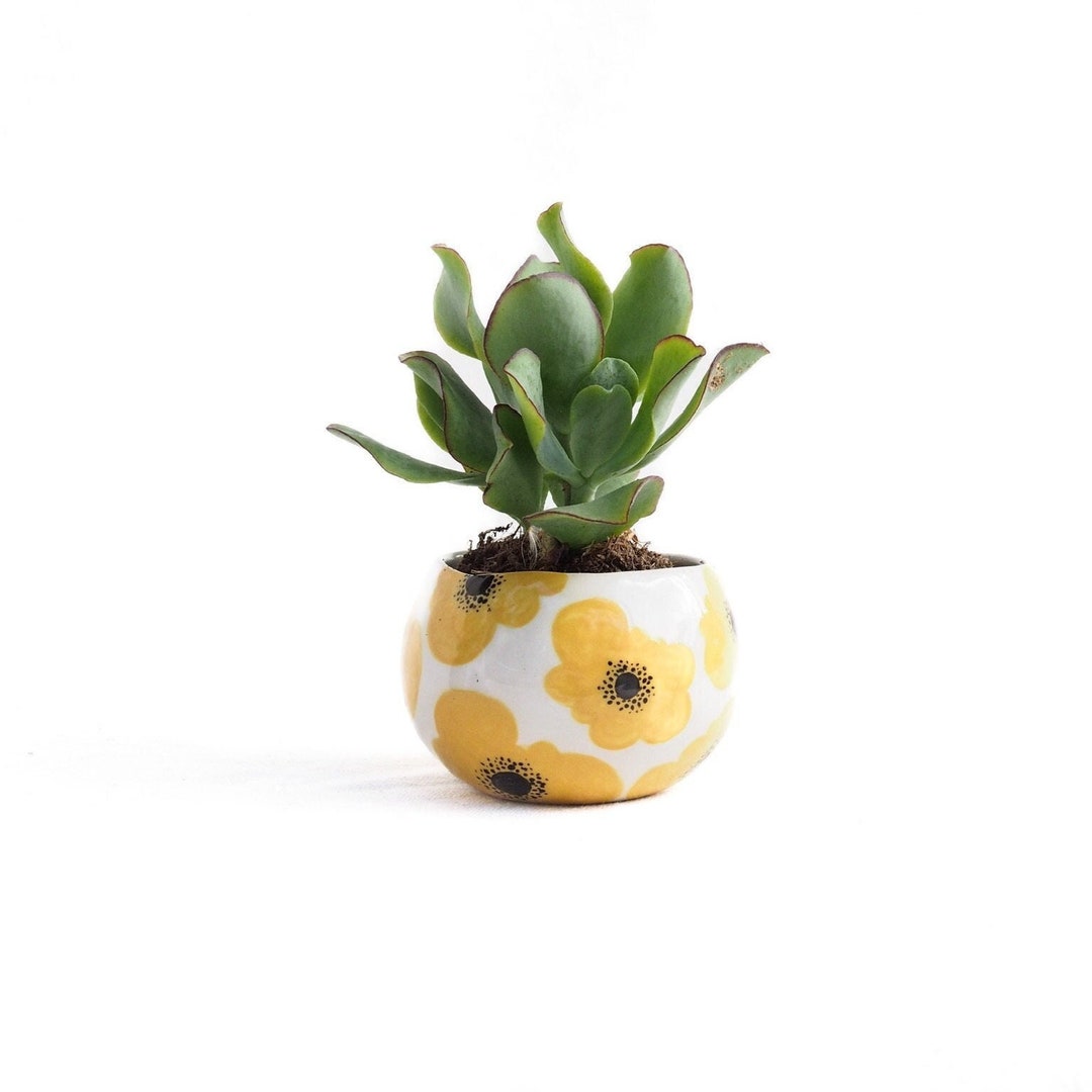 Yellow Poppy Planter for Small Plants Small Ceramic Plant Pot Unique ...