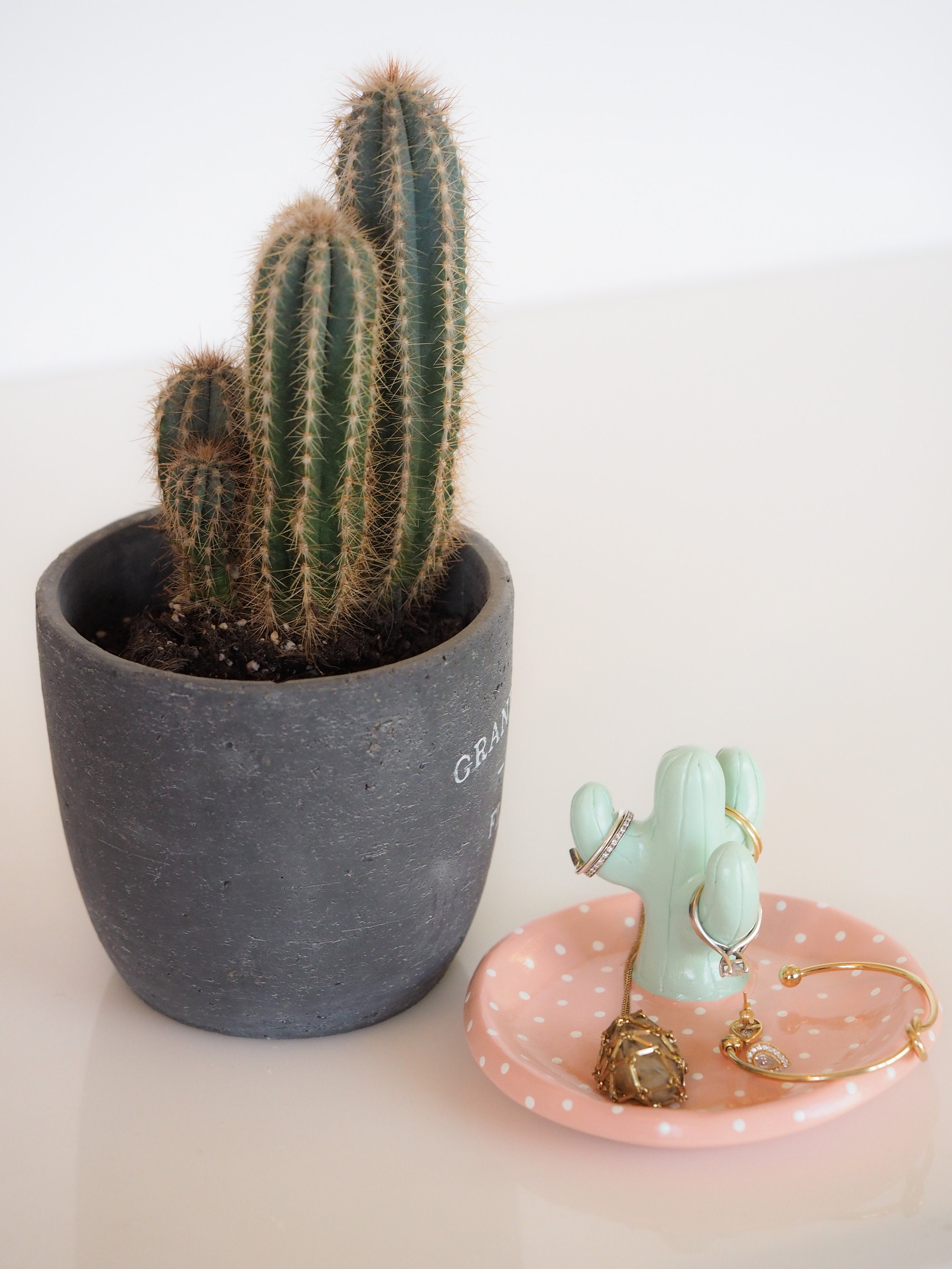 Cactus ring holder Jewelry organizer Cactus jewelry holder | Etsy