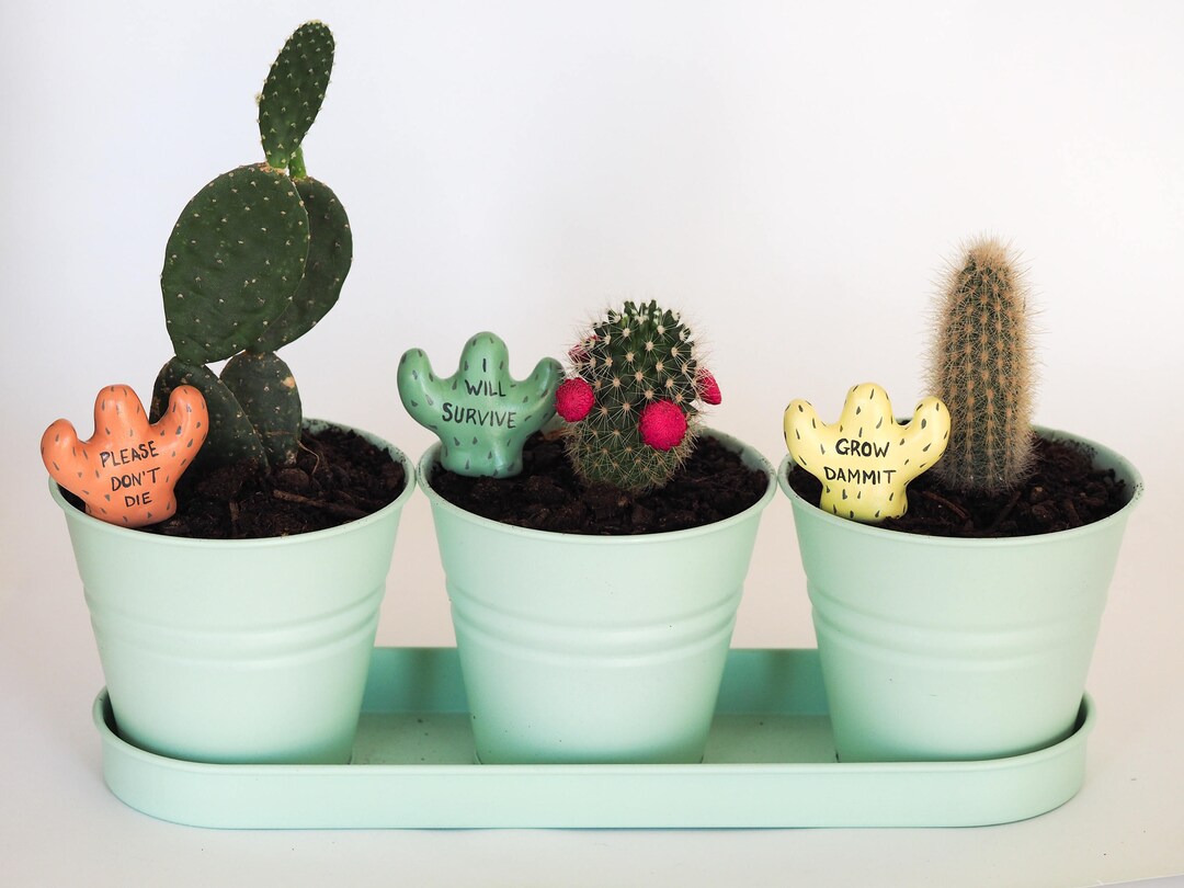 Cactus Plant Decor 3 Funny Plant Markers I Will Survive Plant Sign ...