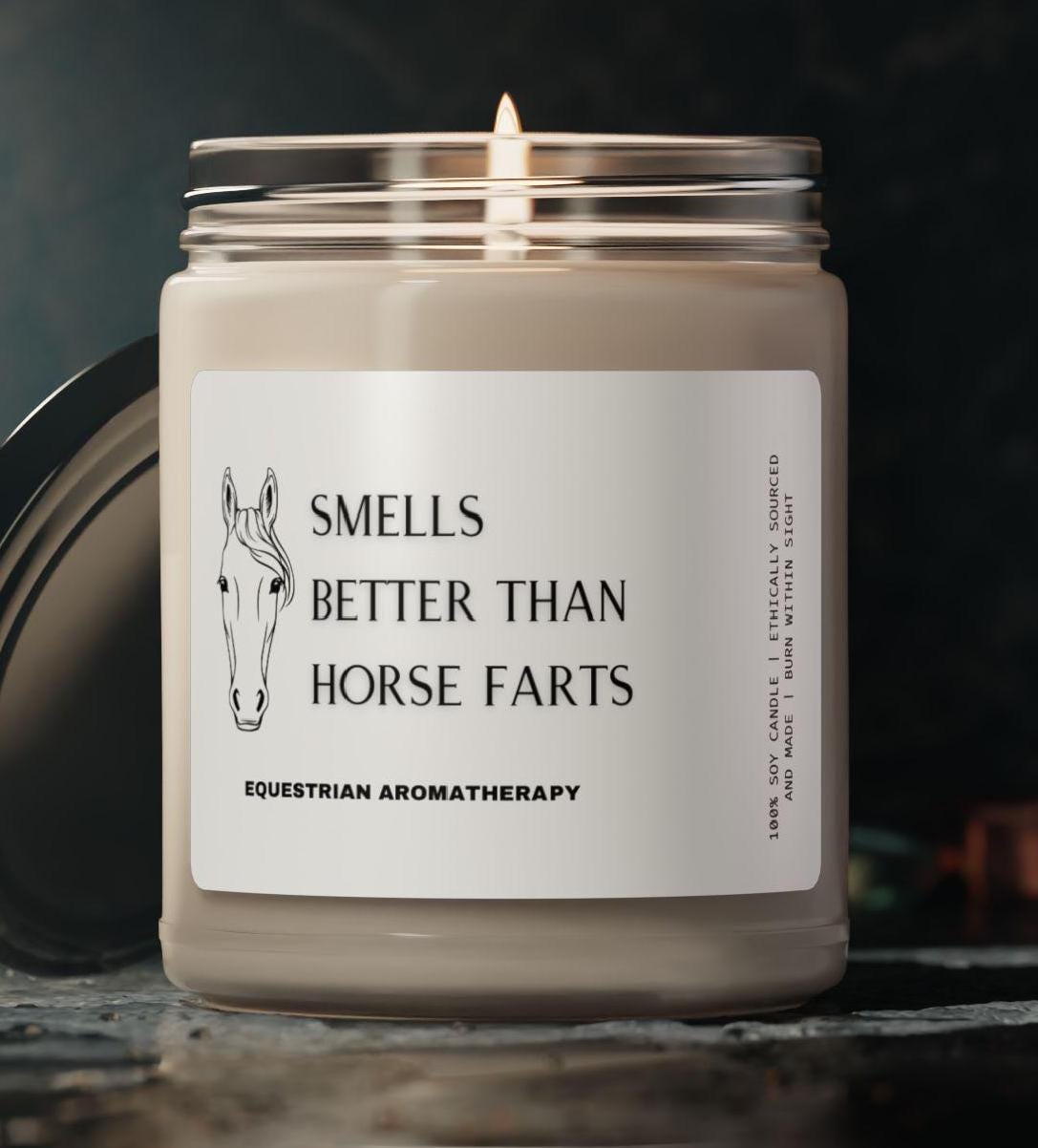 Smells Better Than Horse Farts Soy Wax Candle, 9oz. Funny Horse Lovers ...