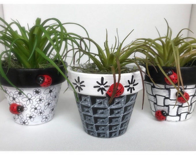 Set of Three Mini Pots - Etsy