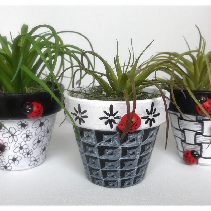 Ladybug Planters - Etsy