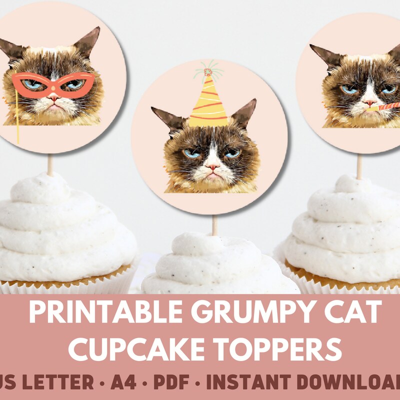 Grumpy Cat Birthday - Etsy