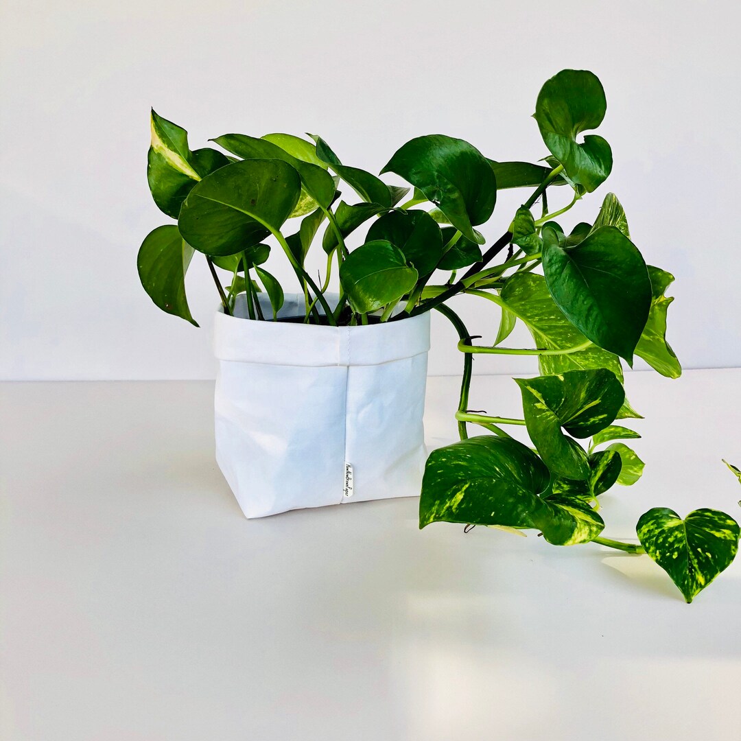 Washable Paper Planter LARGE Washable Paper Plant Holder Kitchen Basket ...