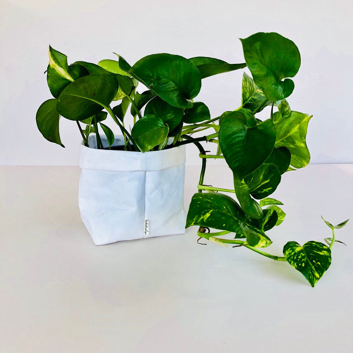 Washable Paper Planter LARGE Washable Paper Plant Holder - Etsy