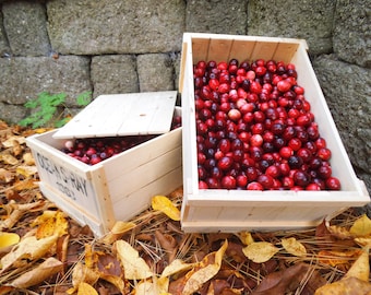 Cranberry box | Etsy