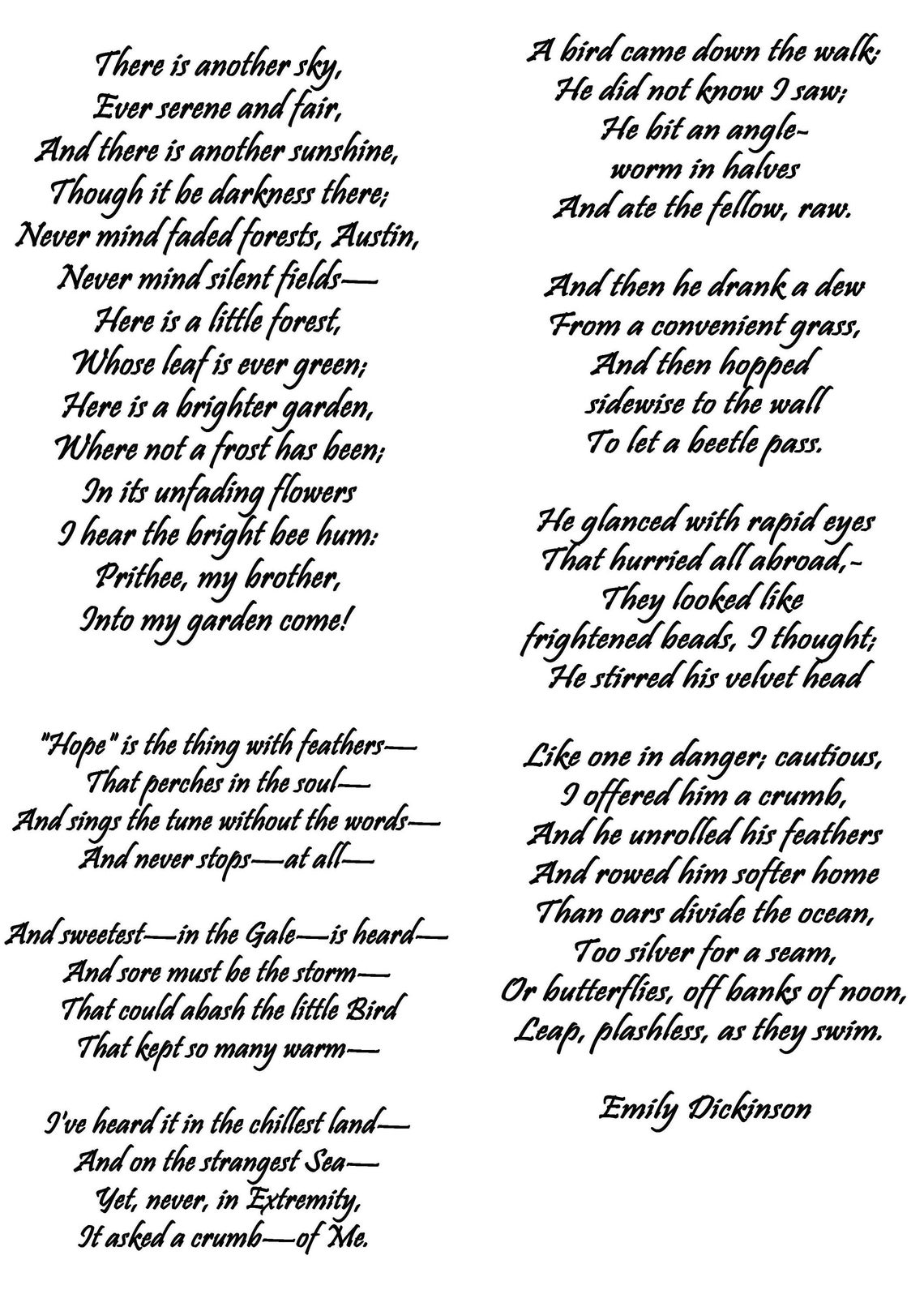 Tights Emily Dickinson Quotes-hope A Bird Came Down the Walk There is ...