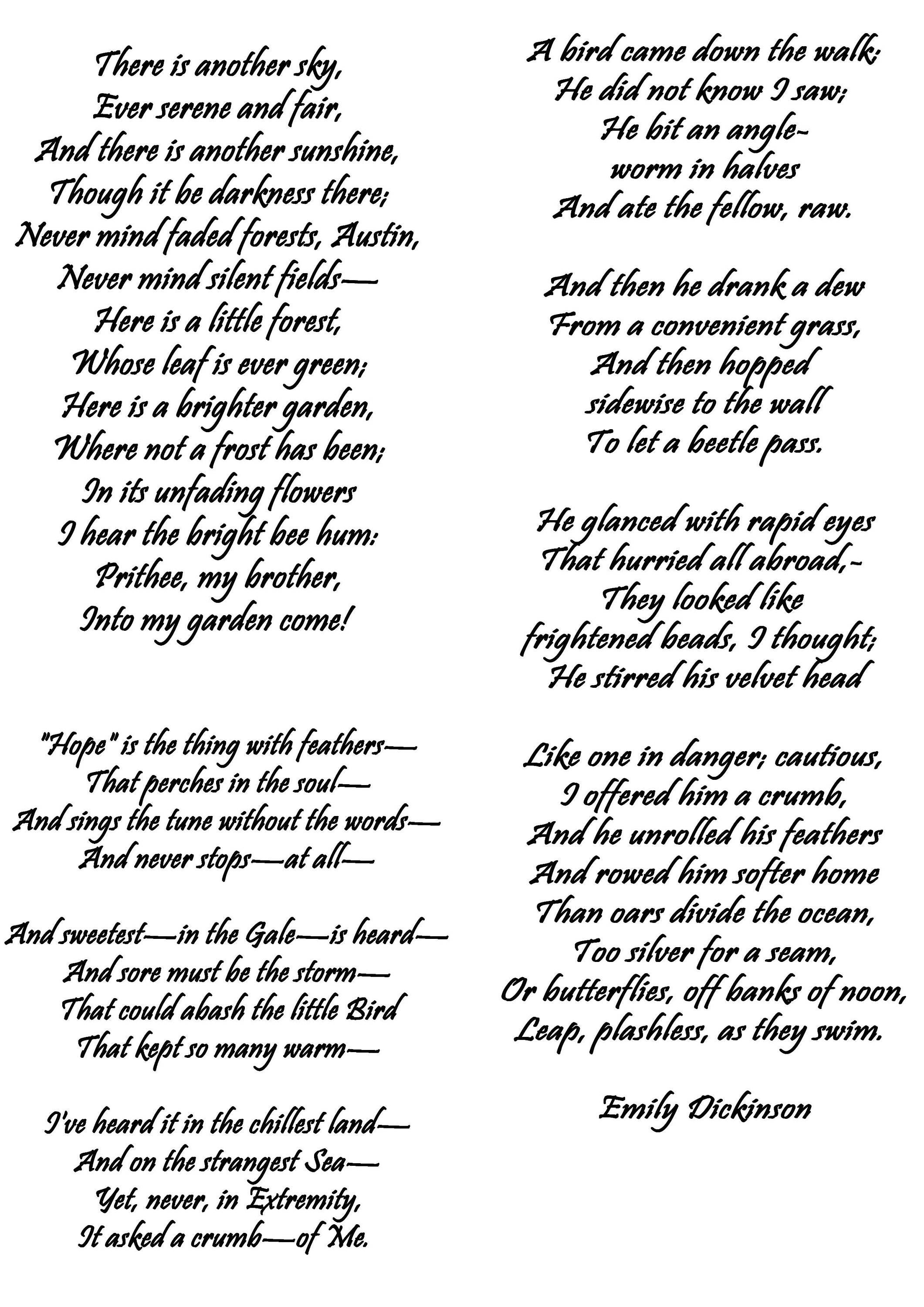 Tights Emily Dickinson Quotes-hope A Bird Came Down the Walk There is ...