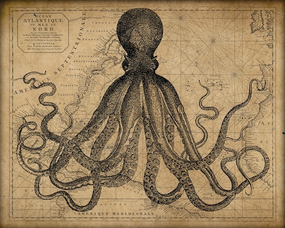 Kraken Illustration Vintage