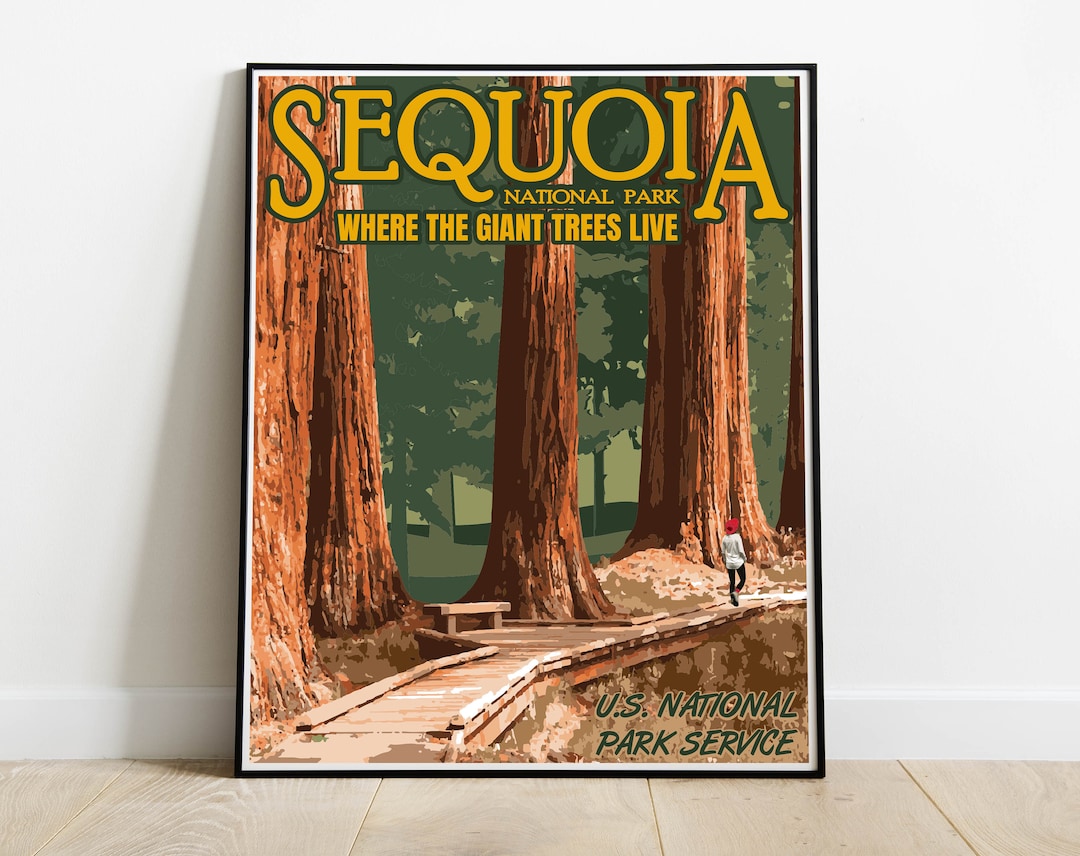Sequoia National Park Poster Print California Paper, Gifts for Men ...