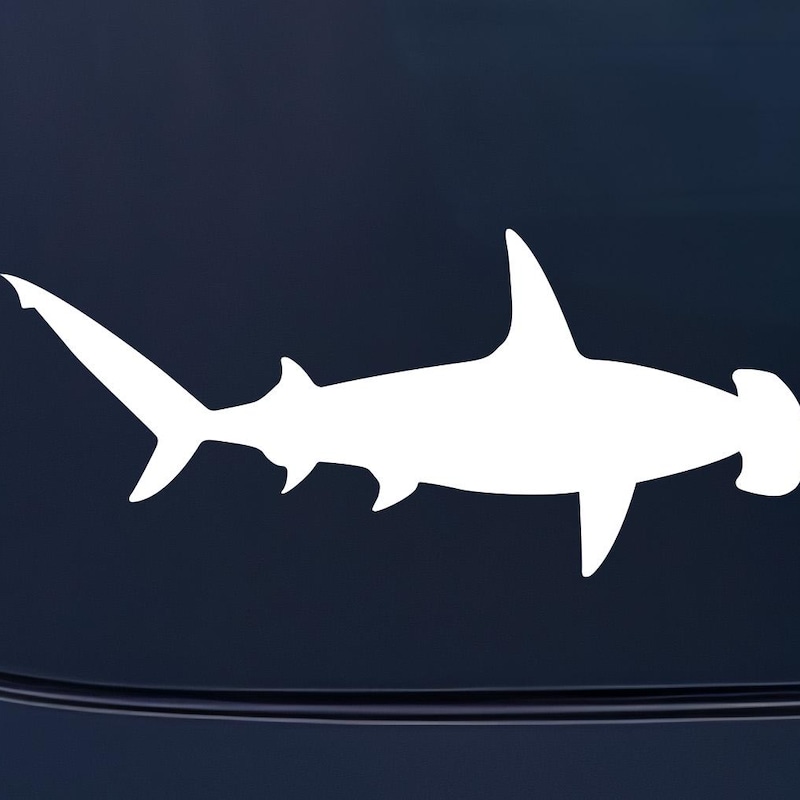 Shark Decal - Etsy