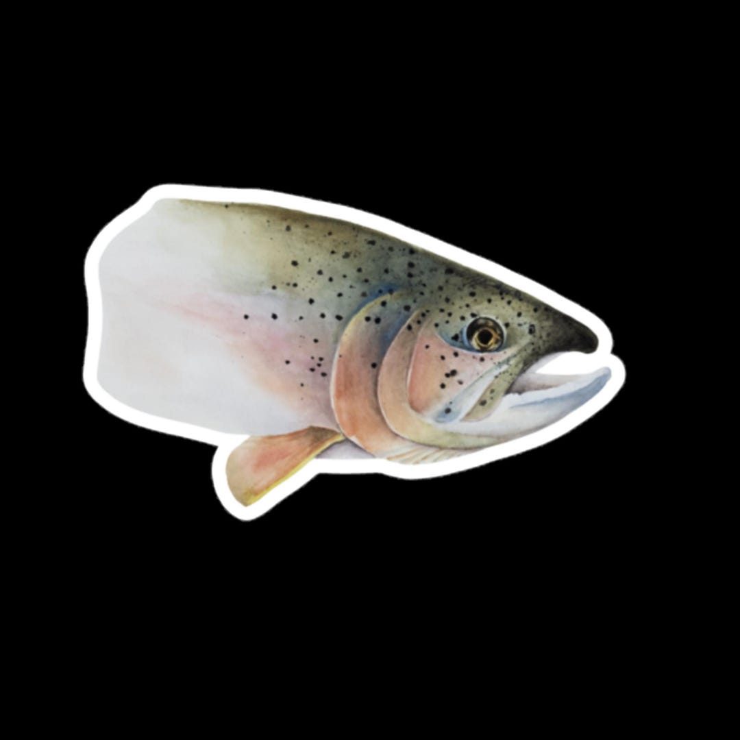 Watercolor Signed Art Rainbow Trout Bubble-free Stickers - Etsy