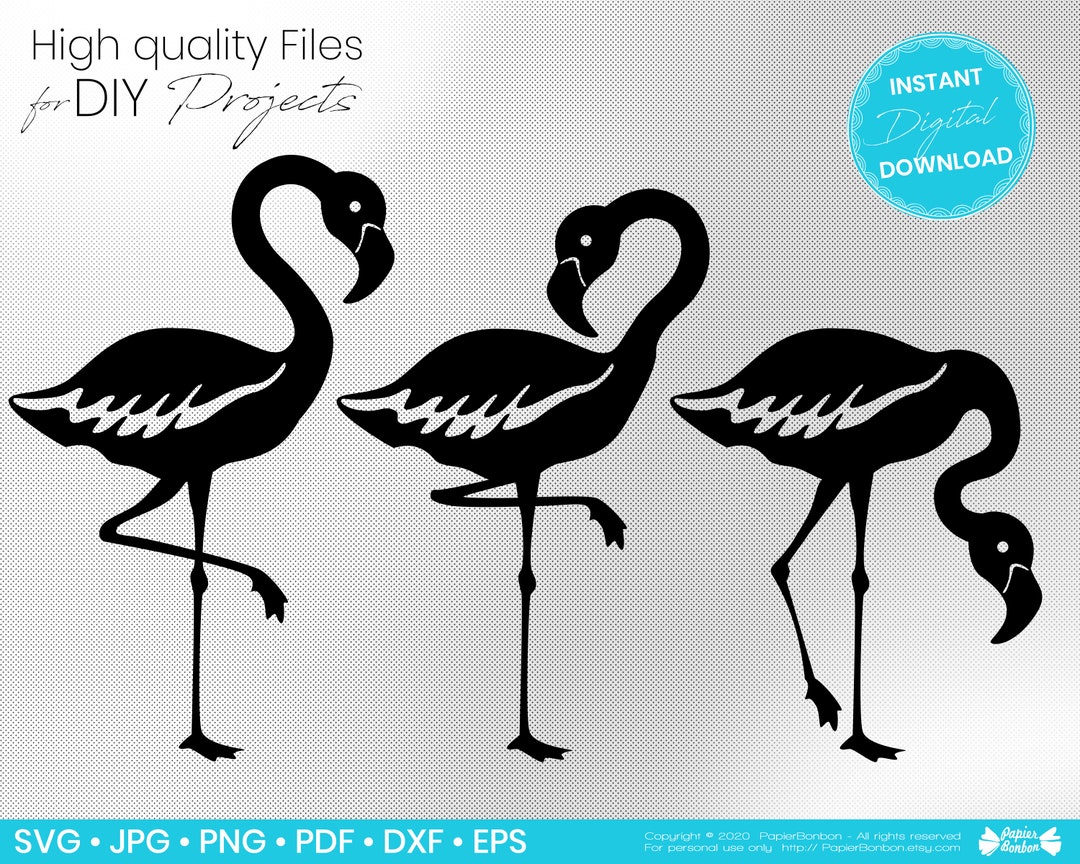 Flamingo SVG, Flamingo SVG File for Cricut Silhouette, Flamingo Design ...