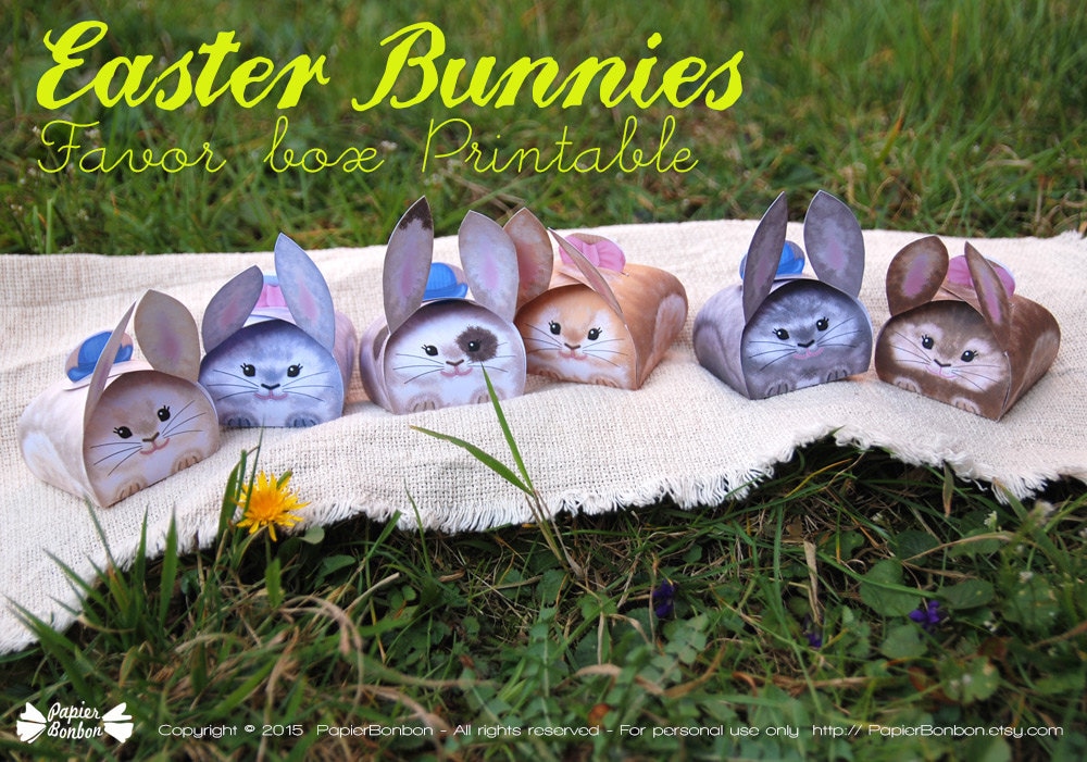 Bunny Gift Box for Easter Chocolate - 6 Fluffy Rabbit With Hat and Bow ...