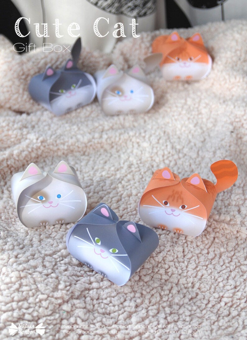 Cat Favor Box for Purrrr’fect Gift - 6 Cute Cat Gift Box for Cat ...